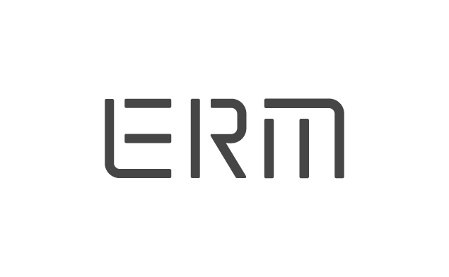 Enterprise Risk Management System | ERM – the basics